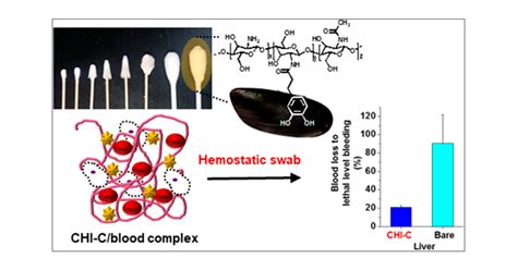 Hemostatic Swabs Containing Polydopamine Like Catecholamine Chitosan Catechol For Normal And