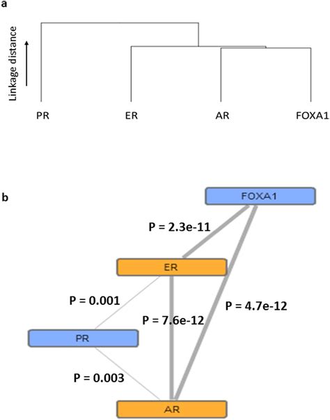 Correlative Biomarker Relationships Dendrogram Showing Biomarker
