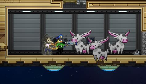 How To Get The Mooshi Out Of The Ships Floor Rstarbound