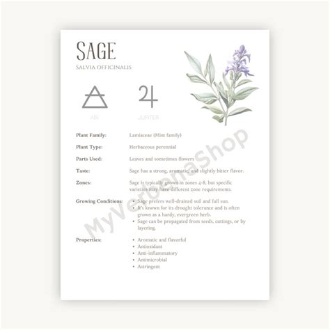 Sage Herbal Printable Detailed Plant Guide And Uses Spiritual Healing