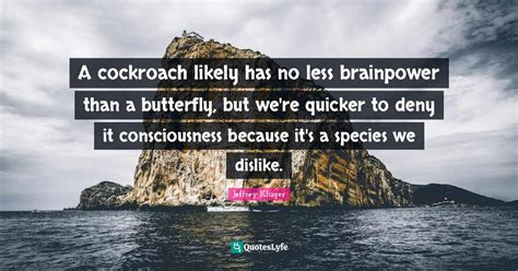A Cockroach Likely Has No Less Brainpower Than A Butterfly But Were