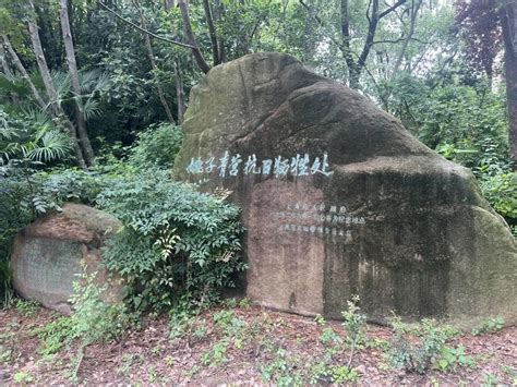 姚子青：中华何止一田横 南京广播电视台