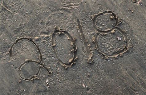 Jolene Wright Jolene Wright Twitter