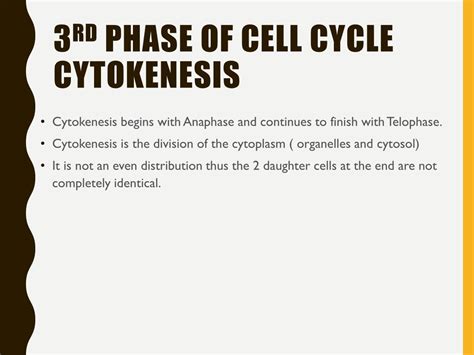 Ppt Cell Cycle Mitosis And Dna Replication Powerpoint Presentation