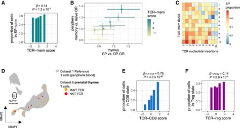The T Cell Receptor Sequence Influences The Likelihood Of T Cell Memory