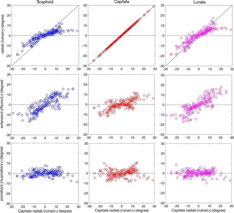 Carpal Bone Rotational Components Relative To Rcs During Radial Ulnar