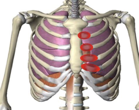 On My Rib Cage Pain
