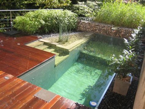 Home Natural Swimming Pool