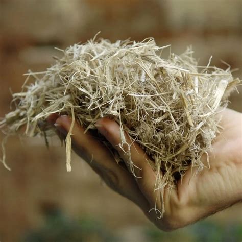 Sugarcane Bagasse Dried Raw Bagasses Material Useful To Animal Feed