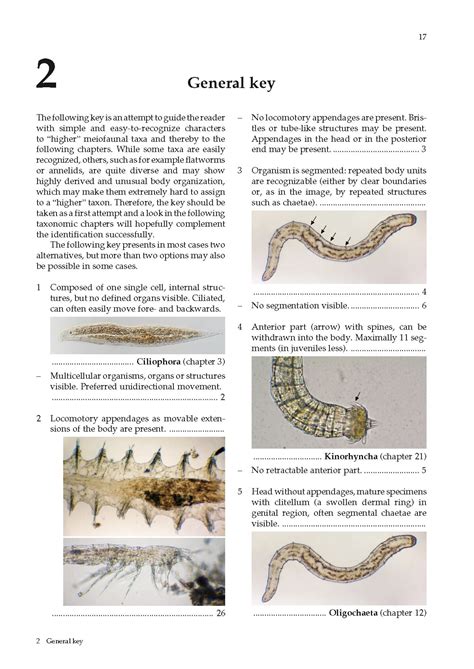 Guide To The Identification Of Marine Meiofauna Veldshop