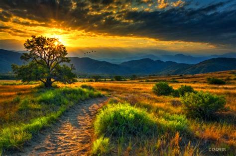 Positiveliving Sunsetchasers Dr Cadee Duquette