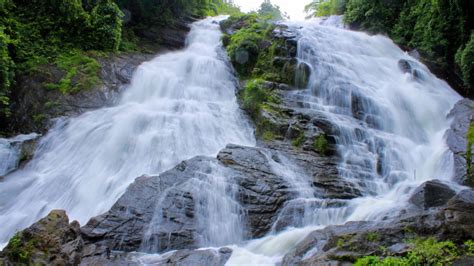 Fotoğraf Şelale Kerala Doğa Orman Doğal Yeşil Kaya Akış