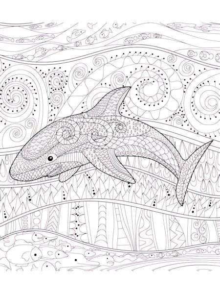 Shark Coloring Pages For Adults