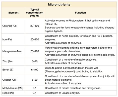 Soil Nutrients Explained Soil Quality Knowledge Base