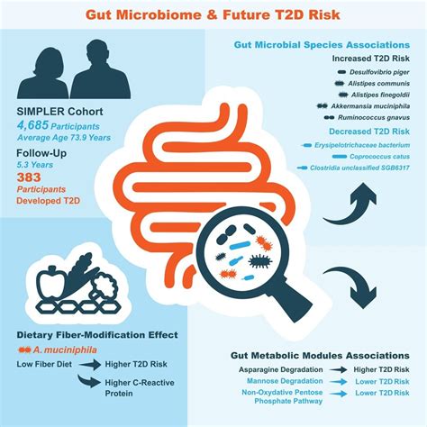 Gut Microbes May Reveal Who Is At Risk Of Type 2 Diabetes Years Before