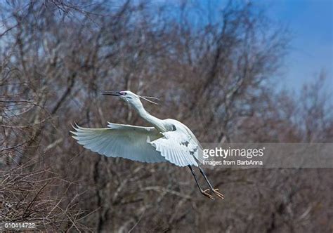 Anna Stork Photos And Premium High Res Pictures Getty Images