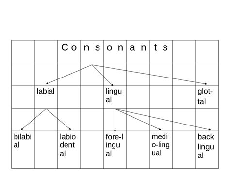Classification Of English Speech Sounds Two Major