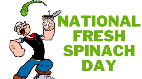 National Fresh Spinach Day Spinach Today Is National National