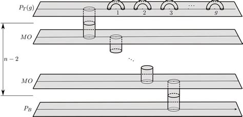 4 Topological Model For The Case 2i Download Scientific Diagram