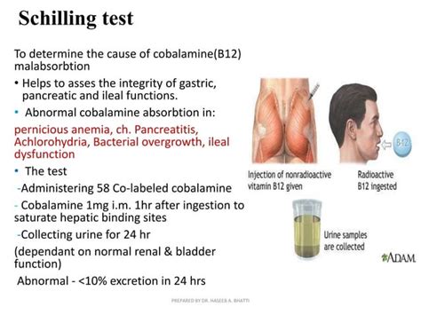 Gastro Intestinal Malabsorption Ppt Digestive Disorders Diseases