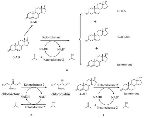 Fermentation Special Issue Biotransformation And Enzymatic Synthesis