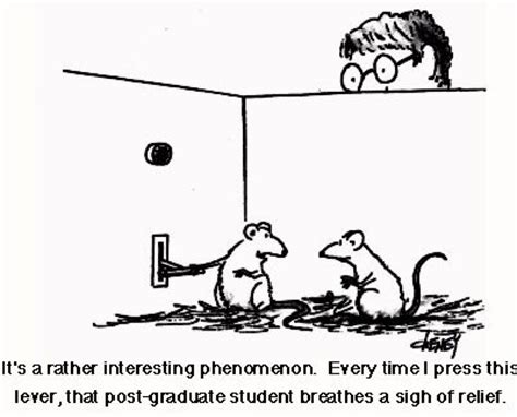 Inbal Levi Msceng On Linkedin Uxresearch Innovation Startups Bussinessdevelopment