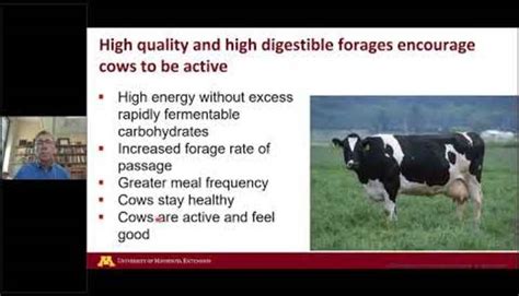 Searchhoards Dairyman Search Jingying Liu Quanxin Zhu Finite Time