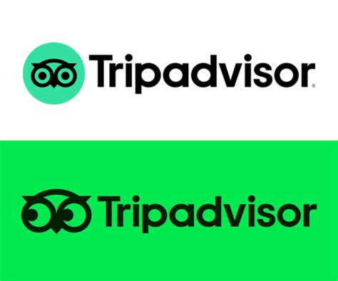 Tripadvisor迎來品牌重塑！貓頭鷹ollie動起來，打造圍繞旅人而生、連結真實感受的靈感基地 La Vie