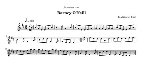 Barney Oneill Trad Irish Free Flute Sheet Music