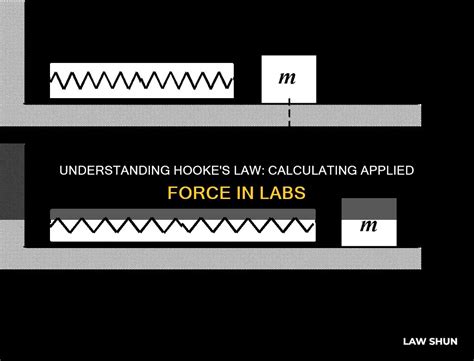 Understanding Hooke S Law Calculating Applied Force In Labs LawShun