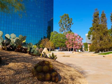 Best Things To Do In Costa Mesa The Low Key Artsy City In The Oc