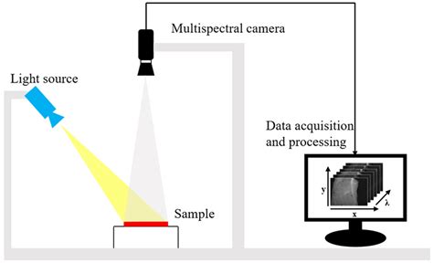 Schematic Of The Multispectral Imaging System Download Scientific