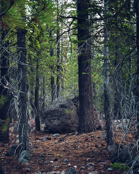 Devastated Area Trail In Lassen Volcanic National Park — Flying Dawn Marie Travel Blog Guides
