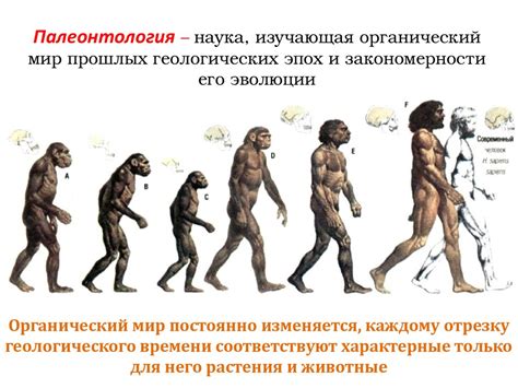 Основы палеонтологии. Лекция 1 - online presentation