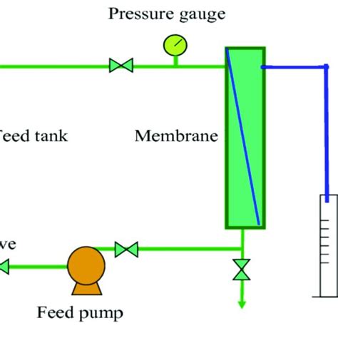 Schematic Process Of Normalized Water Permeability Download Scientific Diagram