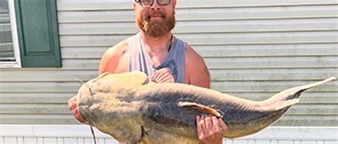 Illinois Record Flathead Catfish