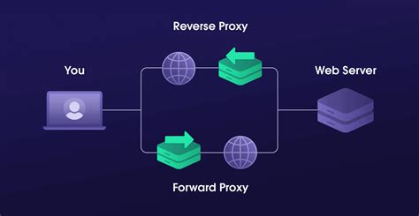 Forward Proxy Vs Reverse Proxy Whats The Difference Mxzls