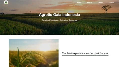 Web Developer Design Freelance Frontend Backend Devops