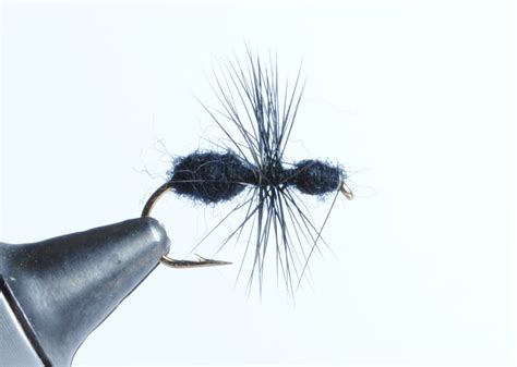 Fly Fishing Ant Patterns At Jenenge Blog