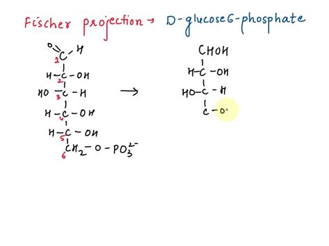 Glucose 6 Phosphate Fisher Projection