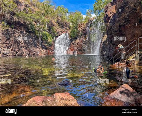 Florence Falls Waterhole Litchfield National Park Litchfield Park