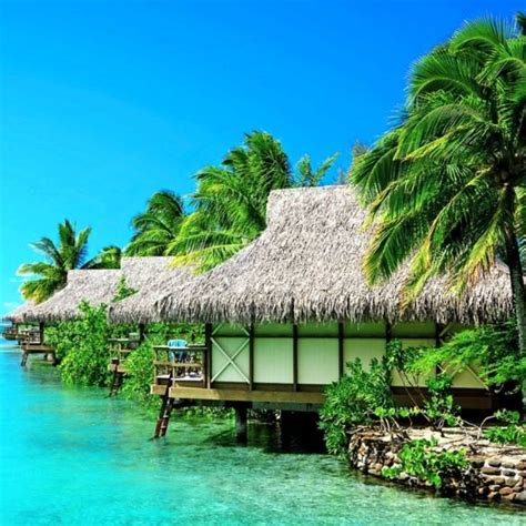 00后小花背后的大佬，赵今麦、李庚希各有神仙，张子枫用实力称霸蒋依依资源公司