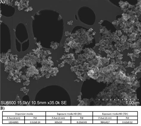 Characterization Of Tio2 Particles A Representative Sem Image Of Download Scientific Diagram