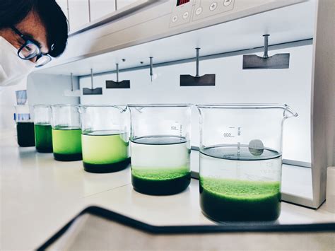 Analytical And Circular Chemistry Linkedin