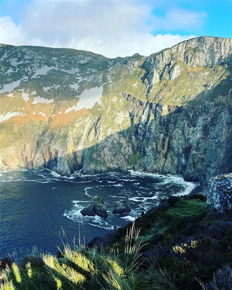 Tayler Williams Fora Travel