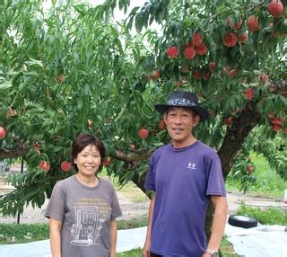 中野市産地・観光pr用シンボルマーク活用事業者一覧表【農業・生産】 長野県中野市