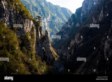 Tara River Canyon Gorge Durmitor National Park Unesco World Heritage