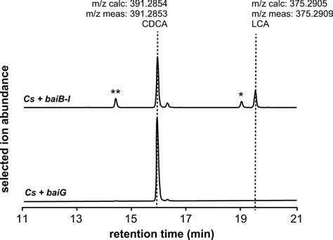7α Dehydroxylation Of Cdca In Vivo Combined Eics Showing The Conversion Download Scientific