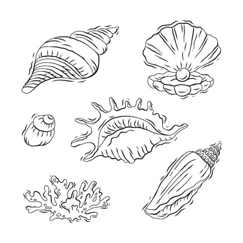 Free Vector Flat Design Seashell Outline Illustration