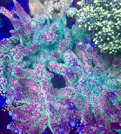 1st Class Aquatics Added A New Photo 1st Class Aquatics